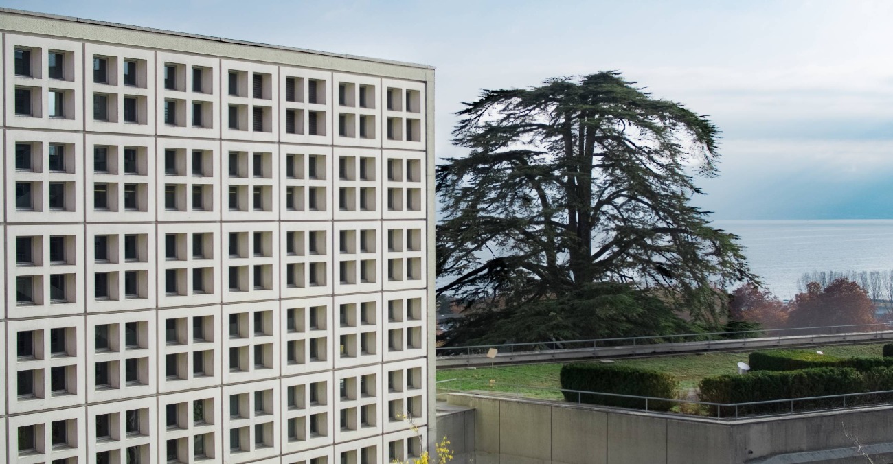 Assurances particuliers et entreprises | Vaudoise Assurances